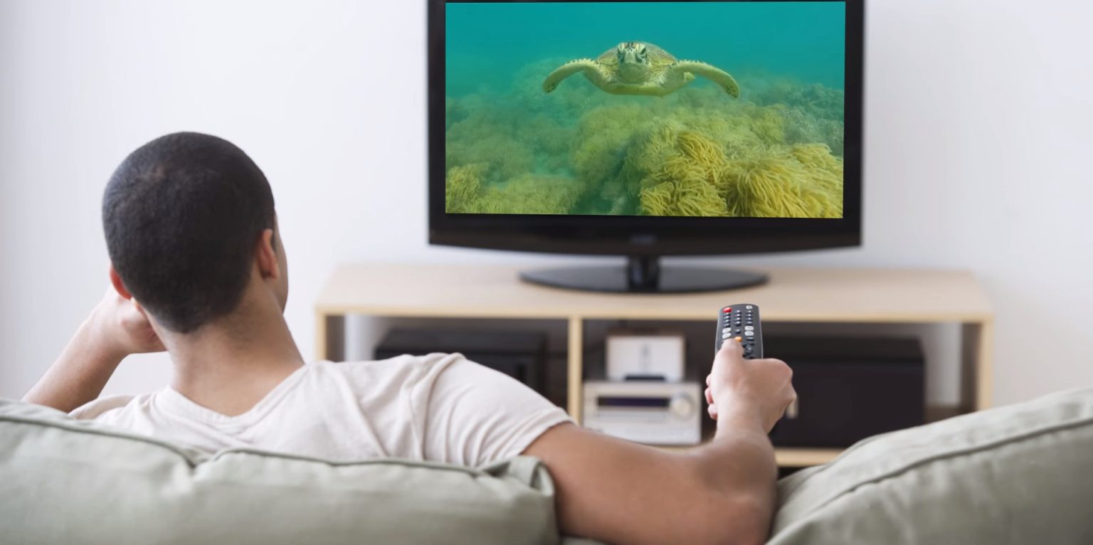 What does TV 14 mean? Everything you need to know